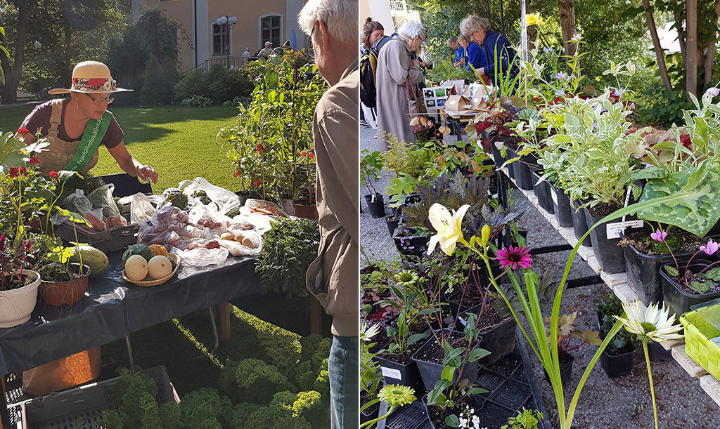 Tid för trädgårdsmarknad och skördemarknad